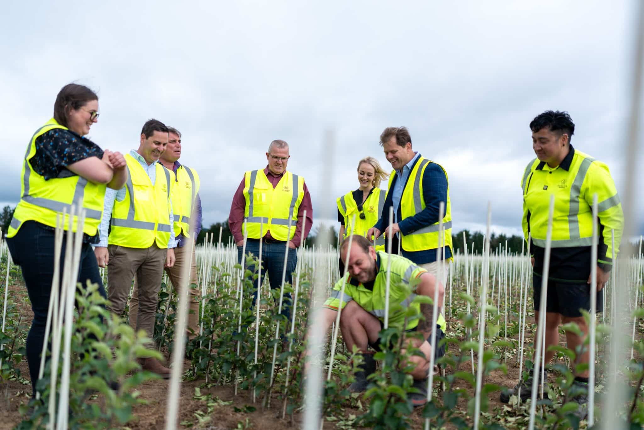 Genesis strengthens their commitment to kiwi growers. - Hawke's Bay ...