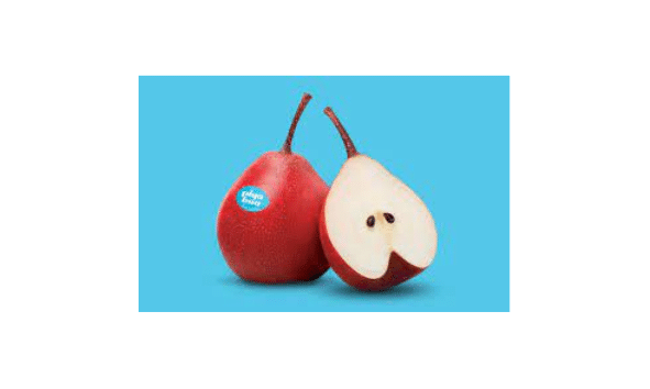 Piqa®Boo®Trees Available - Hawke's Bay Fruitgrowers' Association ...